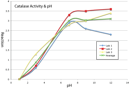 Factors Effecting Catalase Activity